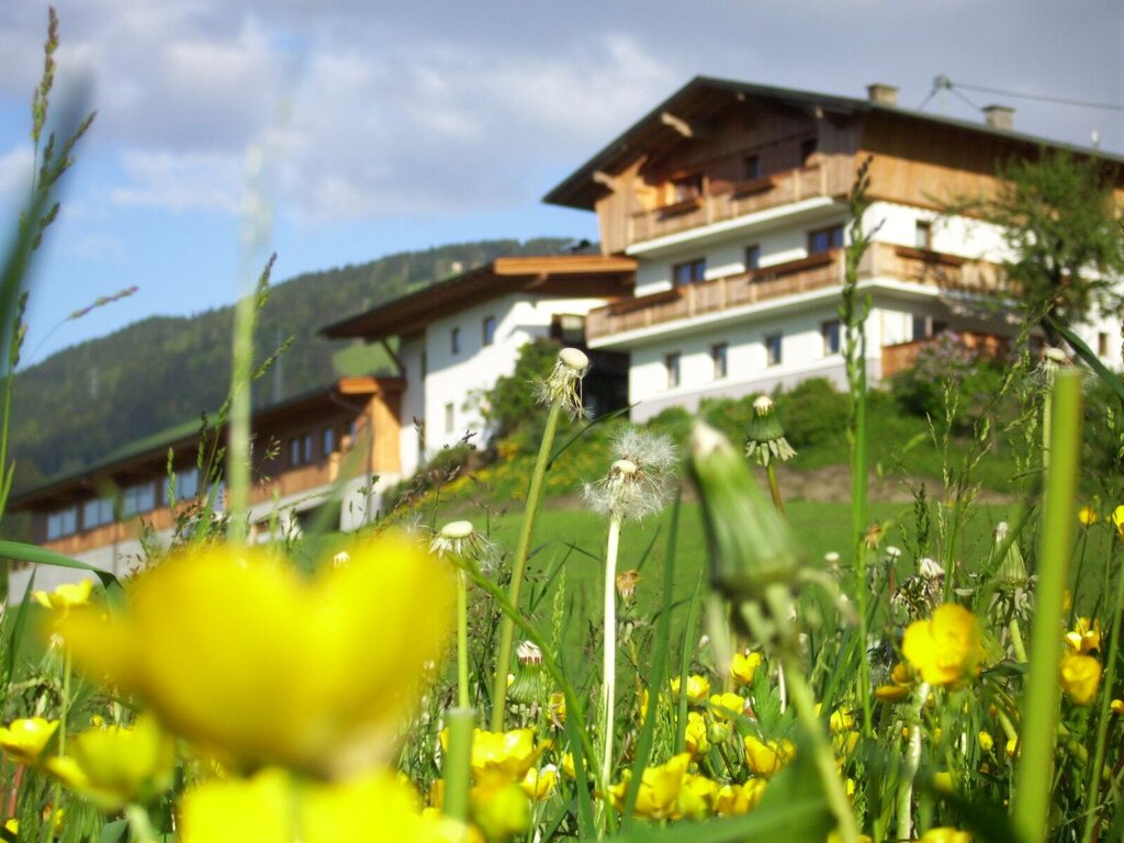 Biobauernhof Leach-Hof | Farm Holidays in Austria